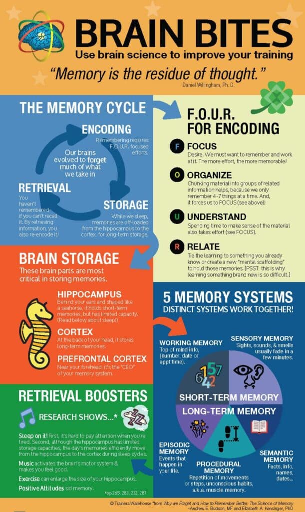 Brain Bites - Brain Science Improves Training | Trainers Warehouse